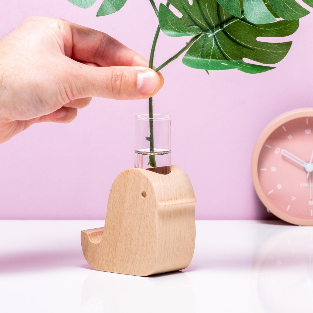 Cadeau voor haar kopen? Shop online bij Ditverzinjeniet!