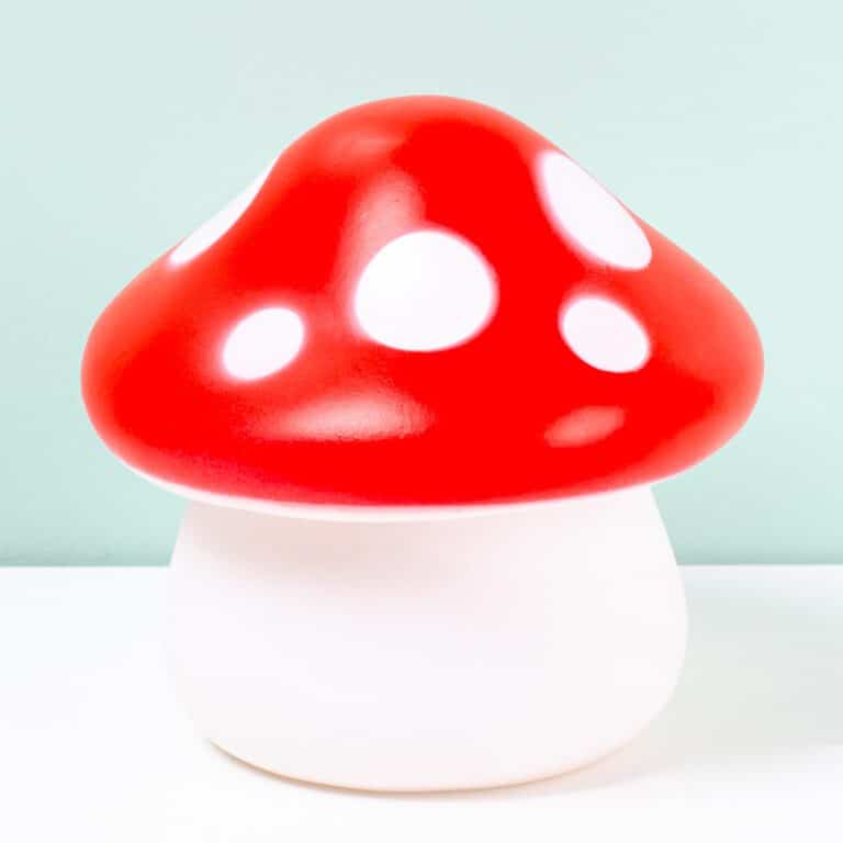 Cadeau voor haar kopen? Shop online bij Ditverzinjeniet!